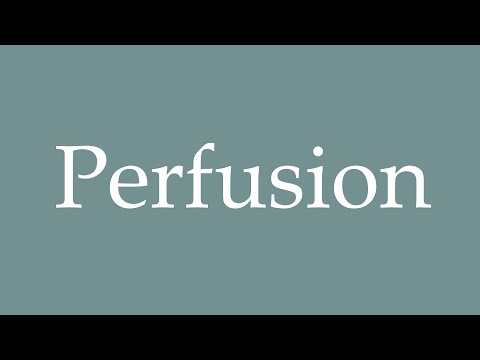 How to Pronounce ''Perfusion'' (Infusion) Correctly in French