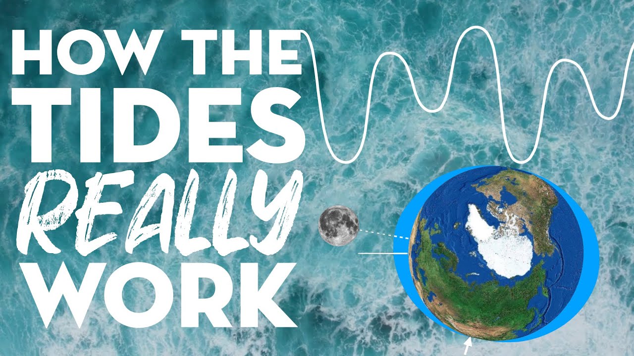 Understanding the Science Behind Ocean Tides | Galaxy.ai