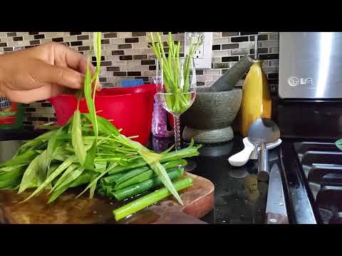 Picking water spinach called kangkong in tagalog. Saving stems to form roots and for planting