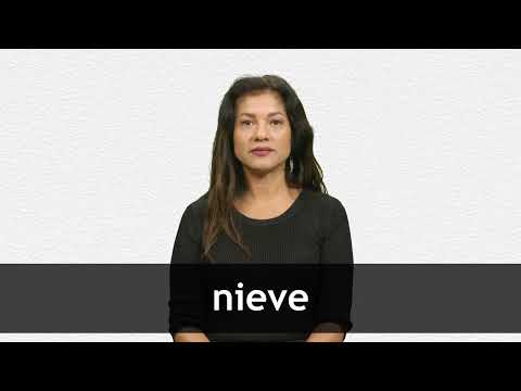 English Translation of “NIEVE” | Collins Spanish-English Dictionary