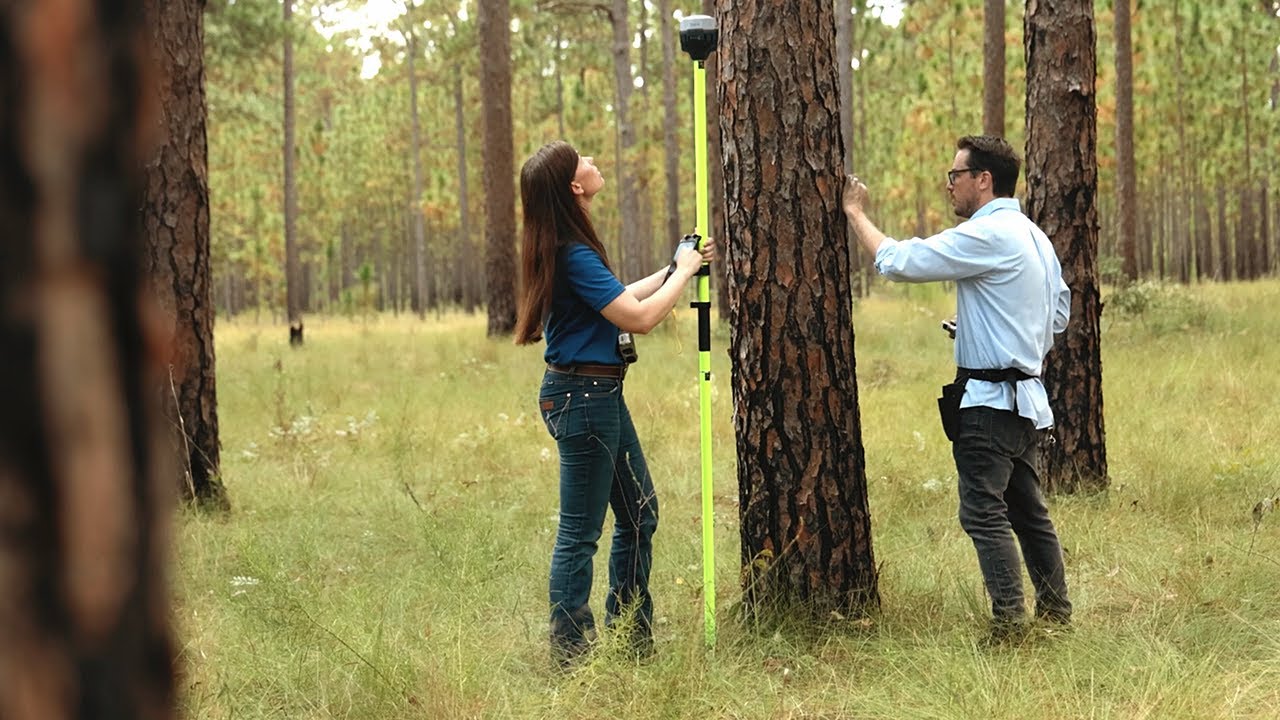 Longleaf Pine Forests Contribute to Water Conservation