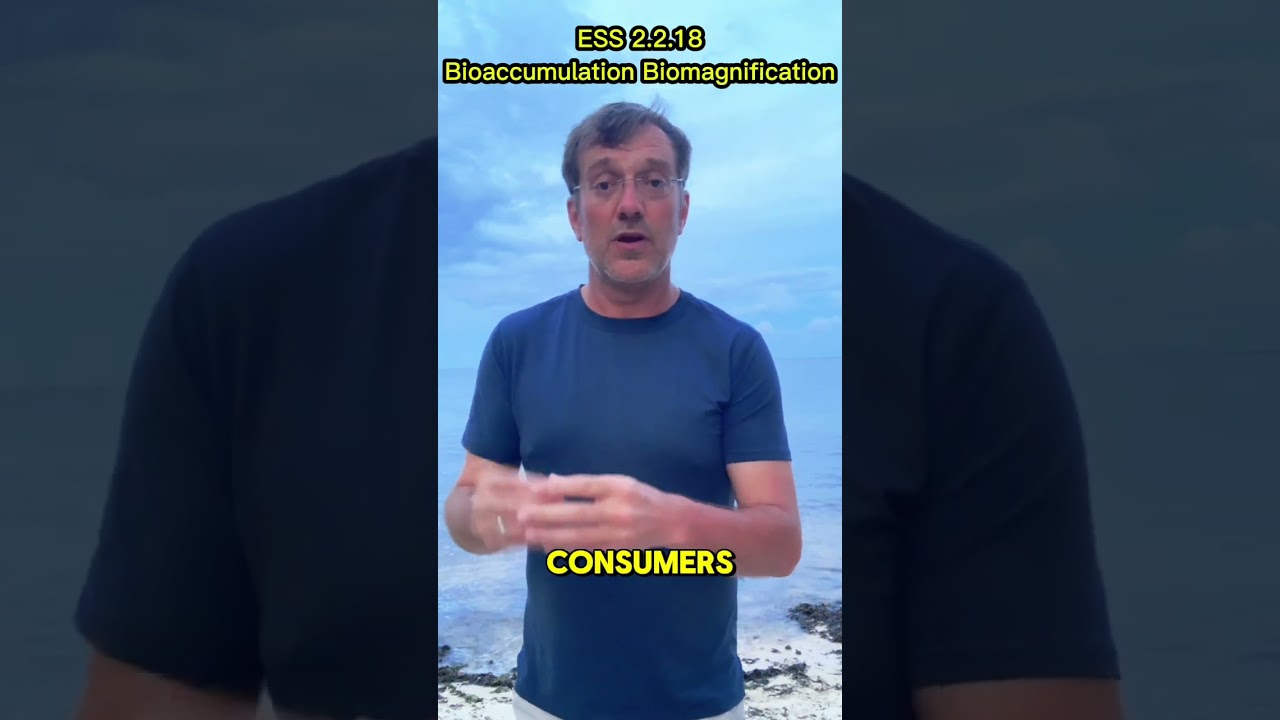 ESS 2.2.18b bioaccumulation & biomagnification in #ecosystems #environmentalscience #ecology