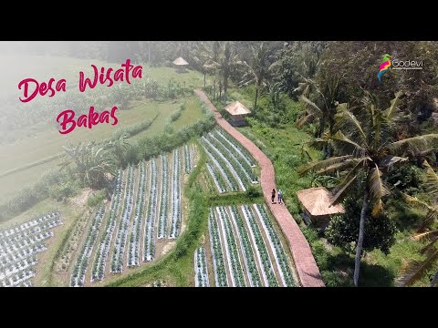 Desa Wisata Bakas