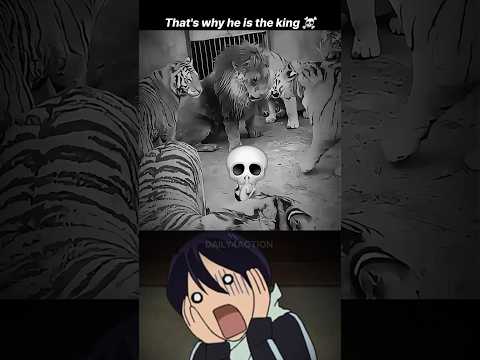 That's why he is the king β‘οΈβ οΈ || #quotes #mindset #grindset #hardwork #viral #usa #stayfocused