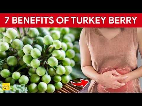 7 Health Benefits of Turkey Berry for a Healthy Diet! - Credihealth