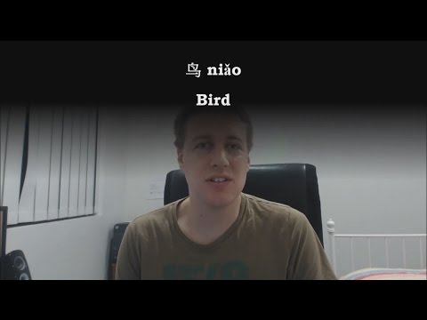 Chinese Word: 鸟 niǎo -- bird