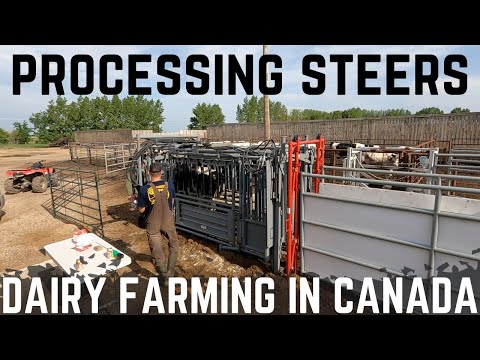 One Of The Most Controversial Topics In Ag?..