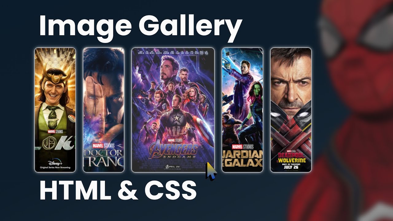How to Create Responsive Image Gallery HTML and CSS | Step-by-Step Tutorial