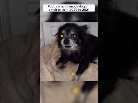 Tiktokers that passed away #trending #shorts #fyp #foryou #tiktokers #sad