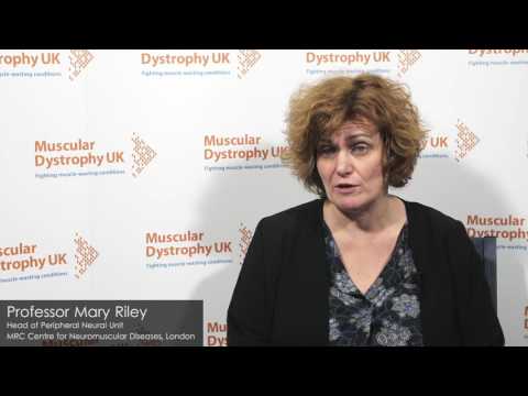 Professor Mary Reilly talks about the development of treatments for Charcot-Marie-Tooth disease.
