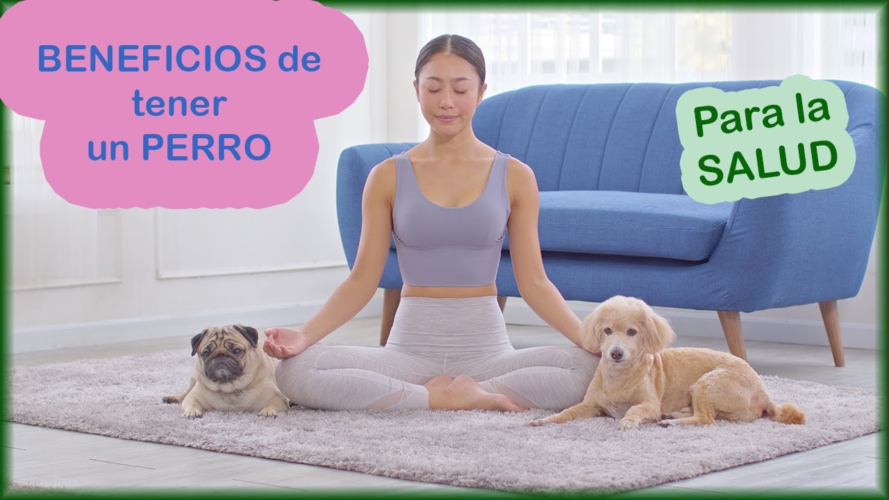 Beneficios de tener un perro para la salud. | Mascotas