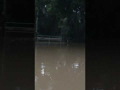 Boating on CR 25 in a Flood