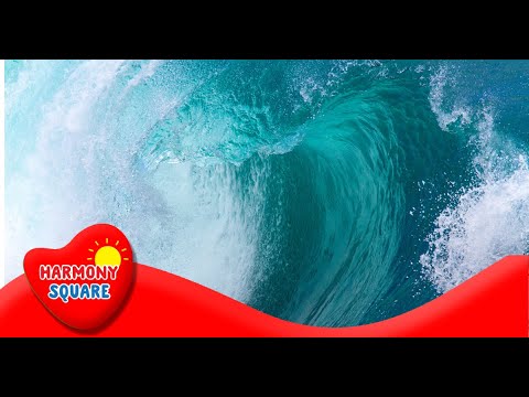 What is a Tsunami - More Science on the Learning Videos Channel