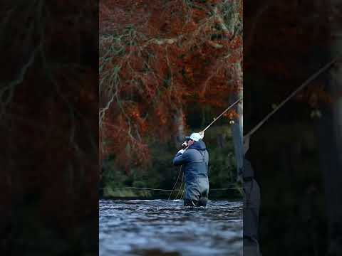 Jedi spey casting
