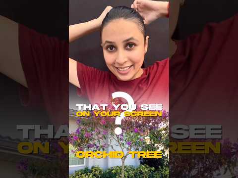 How do we say orchid? #ieltsacademic #orchid #learnenglish #celpip #pte #advancedvocubulary #pr #sat