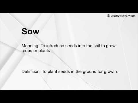 Sow Meaning