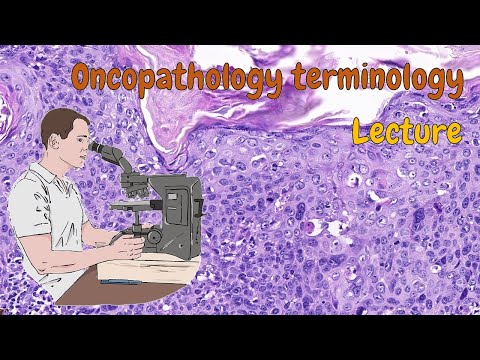 Basic terms in oncopathology (ENG)