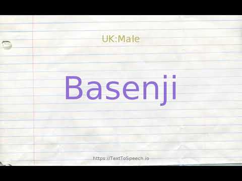 How to pronounce basenji