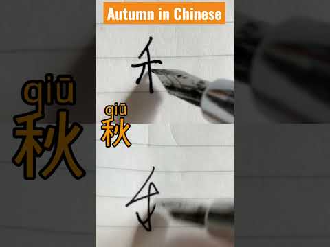How to write “AUTUMN” like a native Chinese ? One word per day #chinesecharacters #chinese