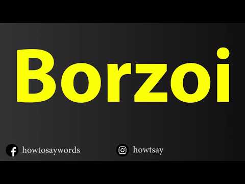 How To Pronounce Borzoi
