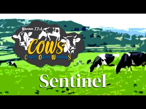 Sentinel, Chapter Officer Workshops