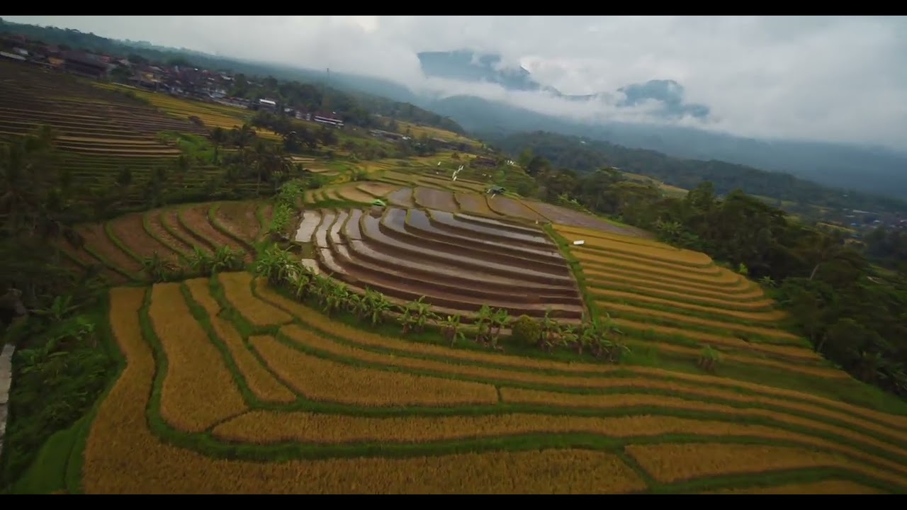 Our magic journey flight to Jatiluwih rice field - Bali, lets enjoy the view of beautiful nature 