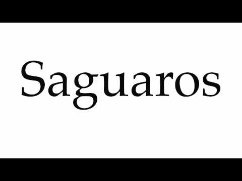 How to Pronounce Saguaros