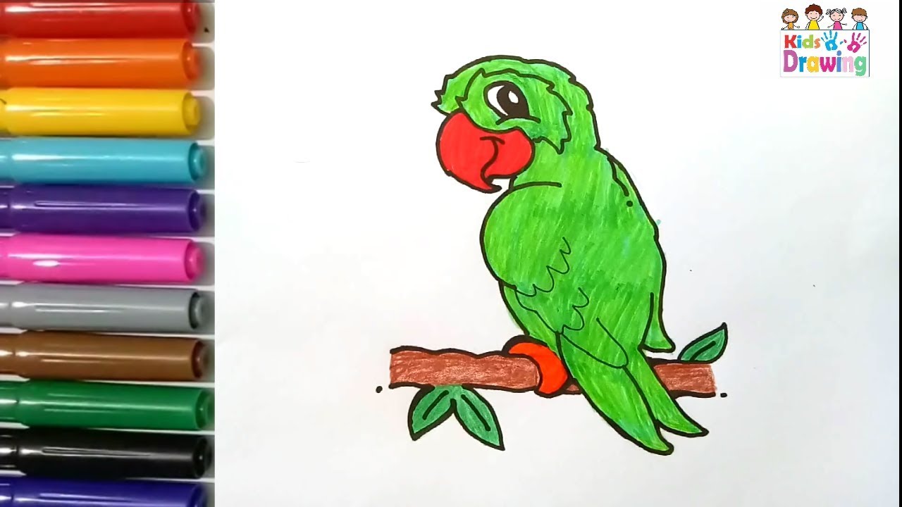How to draw a parrot /coloring pages for kids