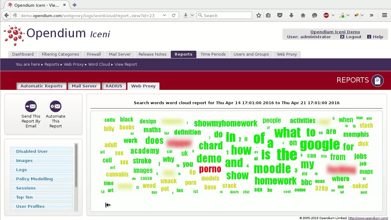 Introducing the Word Cloud Report