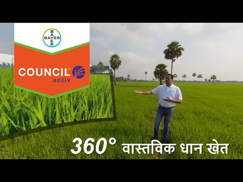 Bayer Herbicide - Latest Price, Dealers & Retailers in India