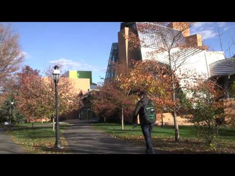 Fall color transforms the Princeton campus