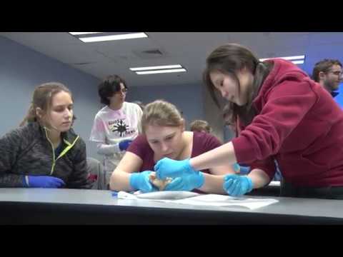 Undergraduate Workshop on Dynamics of Excitable Systems at RIT