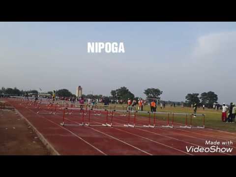 NIPOGA 2017