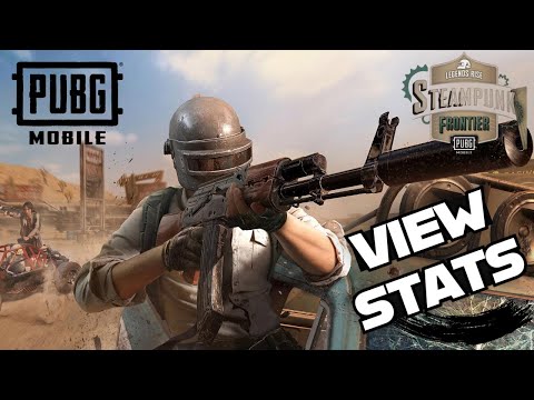 How to View Stats in PUBG Mobile 2025?