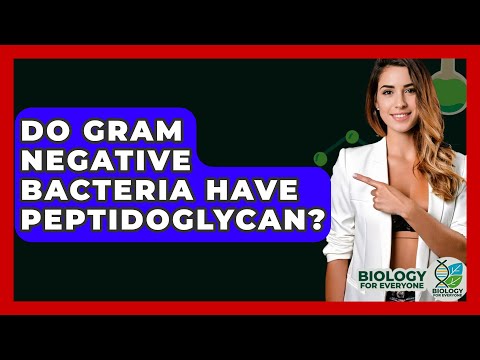 Do Gram Negative Bacteria Have Peptidoglycan? - Biology For Everyone