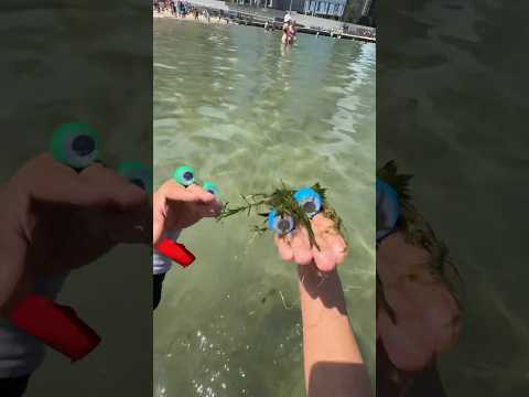 SEA MONSTER!