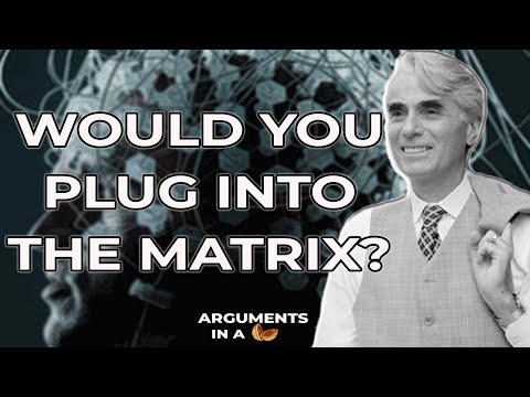 Nozick’s Experience Machine - Philosophical Arguments in a Nutshell