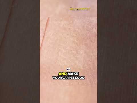 Fixing vs. Replacing Carpet: When is the Right Time?