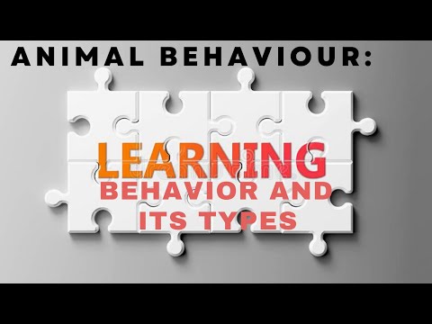 Animal behaviour : Learning behaviour and its type - Imprinting, habituation, sensitization