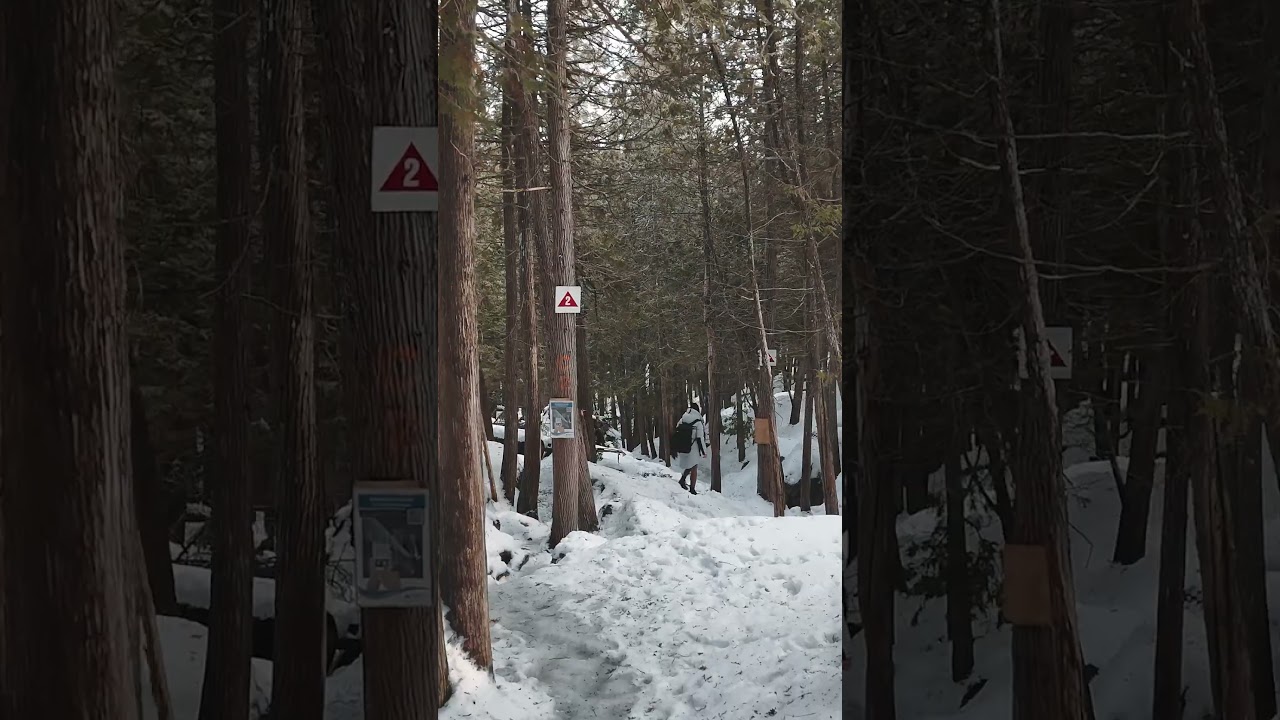 I found the best hiking trail in Ontario