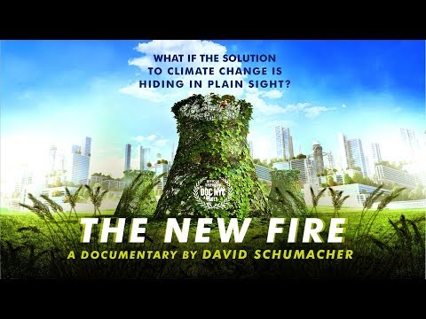 Advances in Nuclear Power Generation – Sic Science