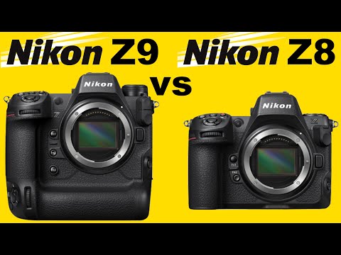 Nikon Z8 vs Z9: Full comparison (1695)