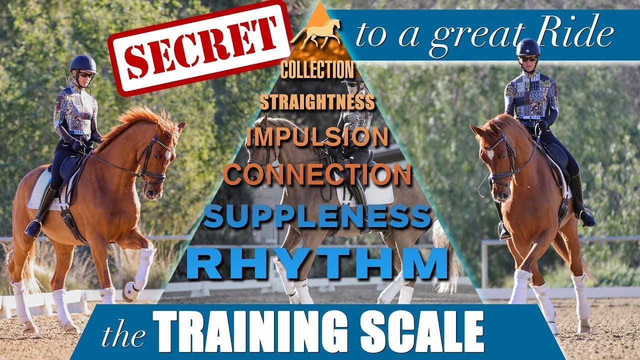 Plan Your Ride with the Training Scale