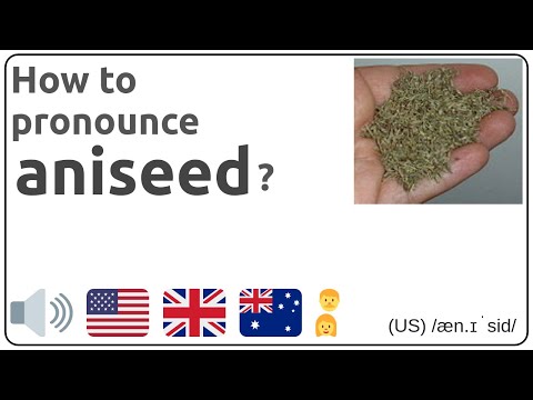 How to pronounce aniseed in english?