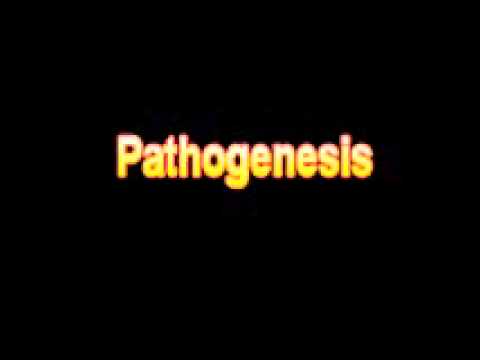 What Is The Definition Of Pathogenesis Medical School Terminology Dictionary