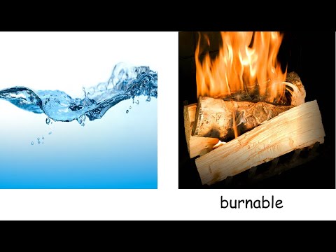 American Sign Language ASL Video Dictionary - burnable