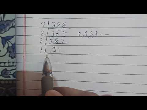 prime factors of 728