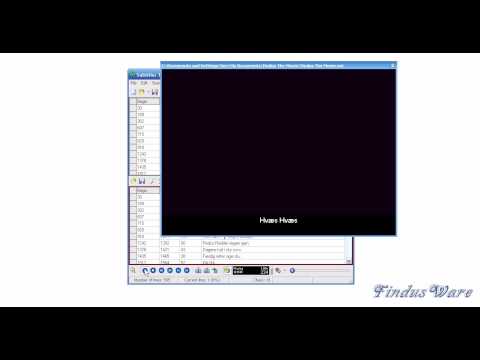 Subtitles Translator - Oversæt, Synkroniser Undertekser / FindusWare
