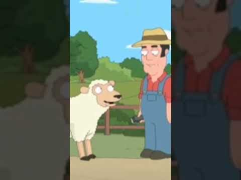 Shearing Scene