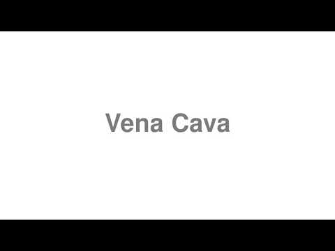 How to Pronounce "Vena Cava"